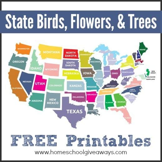 State Birds Flowers Trees FREE Printables