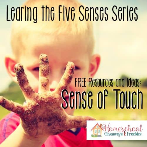 Learning the Five Senses Series – FREE Resources and Ideas: Sense of Touch