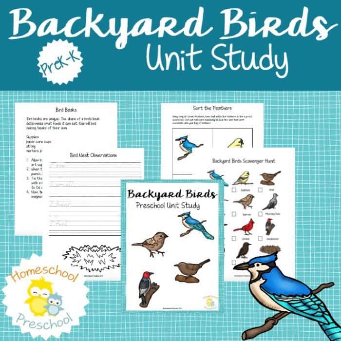 Free Backyard Birds Unit Study for PreK – Grade 5