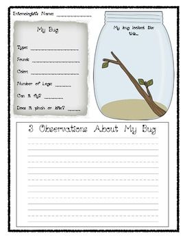 Free Bug Observation Printables