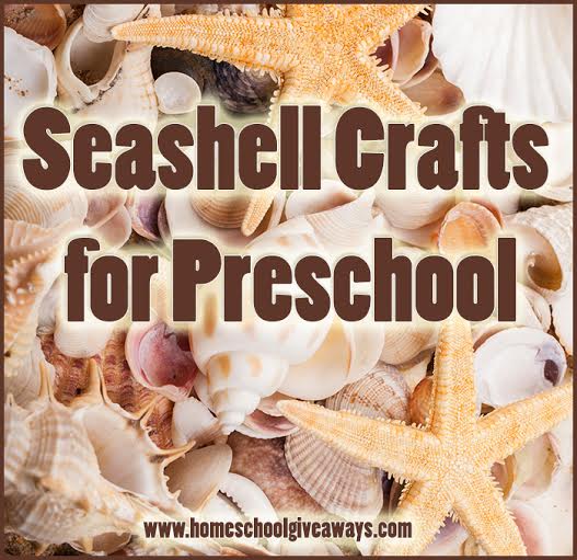 Seashell Crafts For Preschool