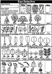 Considering God's Creation Science Review