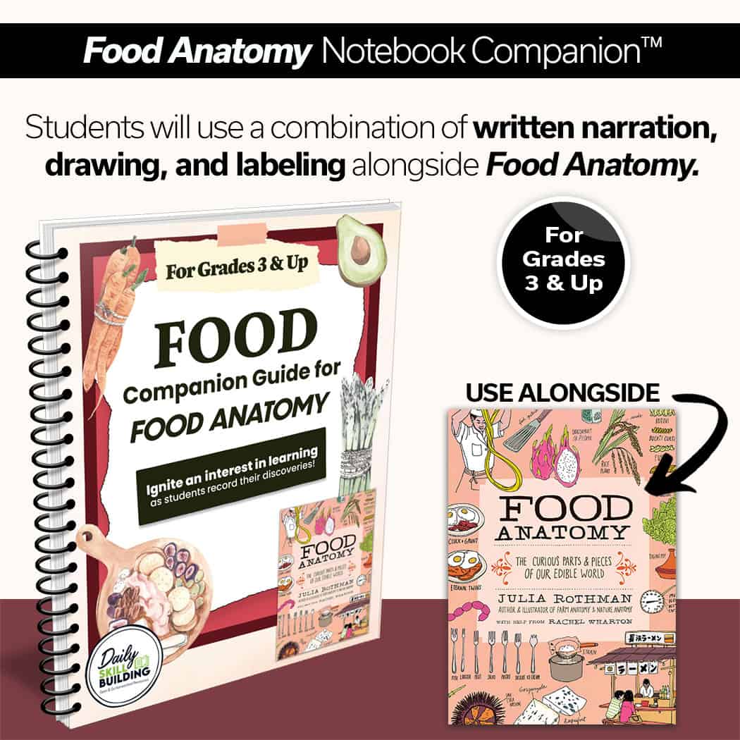 Free Food Pyramid Resources: Printables, Crafts & Activities