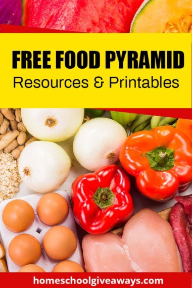 Free Food Pyramid Resources: Printables, Crafts & Activities