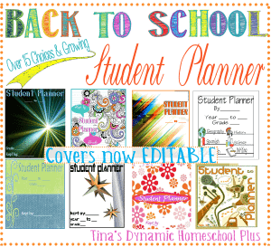 FREE DIY Step by Step Student Planner