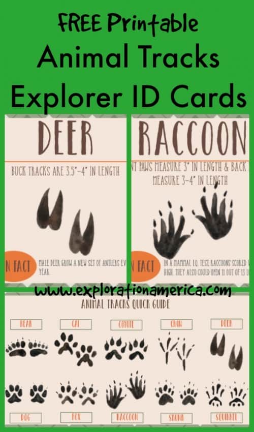 FREE PRINTABLE ANIMAL TRACKS EXPLORER ID CARDS