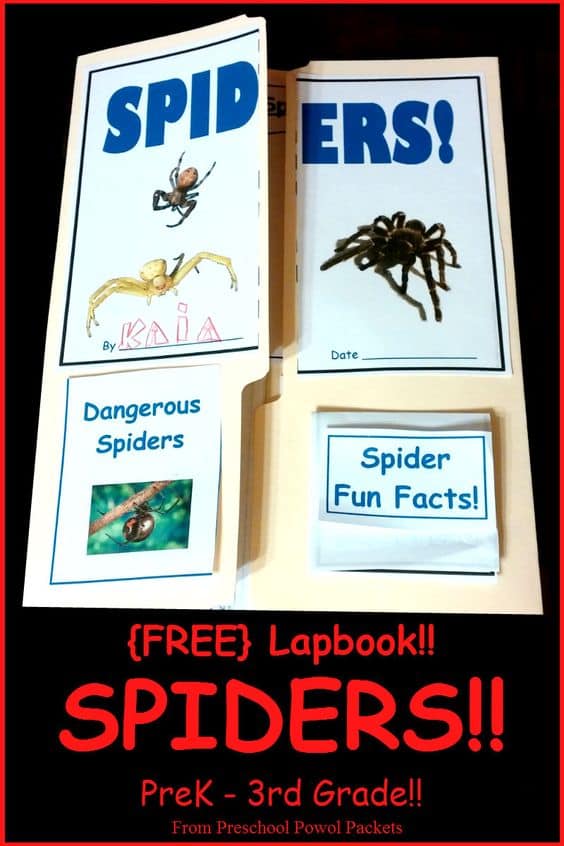 FREE Printable Spider Lapbook