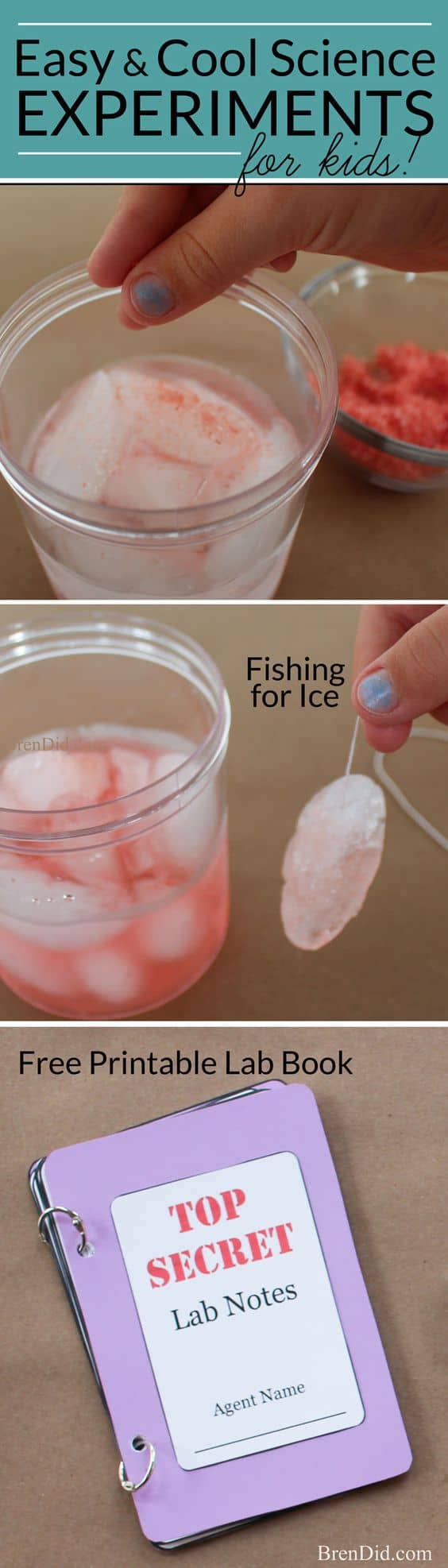 Chemistry Experiment For Kids with FREE Printable Lab Notebook