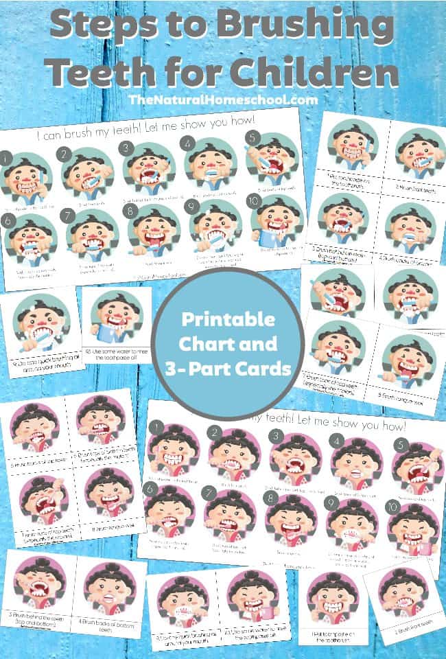 Steps to Brushing Teeth for Children (FREE Printable Chart and 3-Part ...