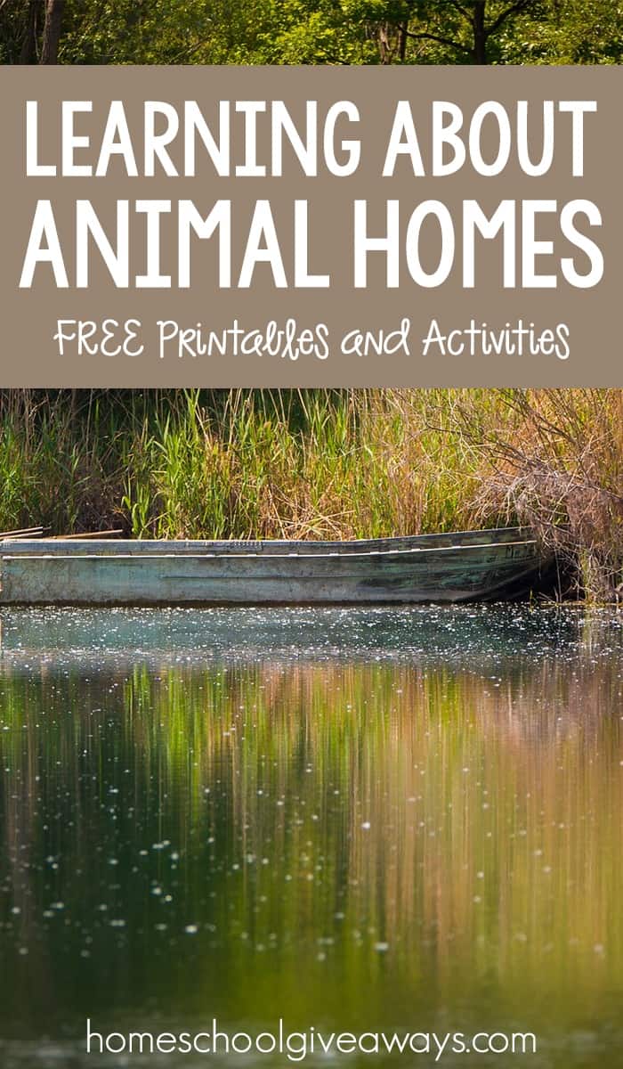 Learning About Animal Homes FREE Printables and Activities
