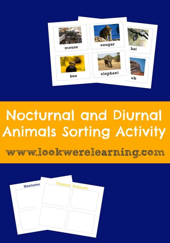 FREE Nocturnal and Diurnal Animals Sorting