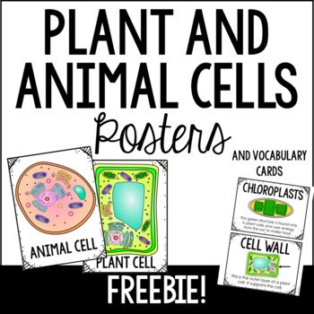FREE Plant and Animal Cells Poster and Vocabulary Cards