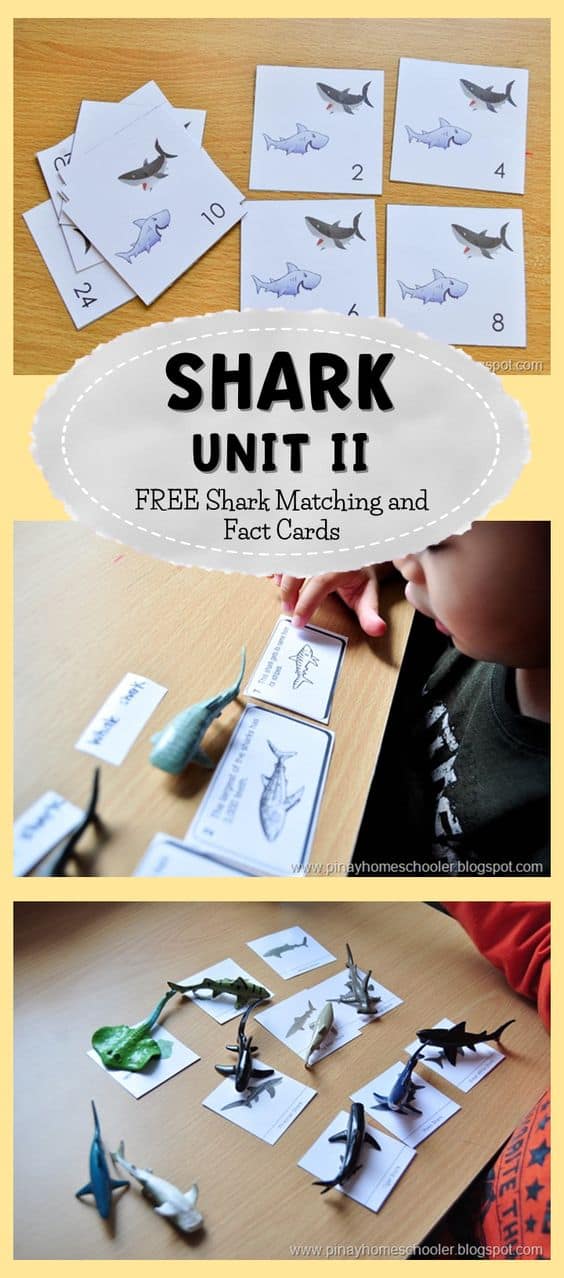 FREE Shark Matching and Fact Cards
