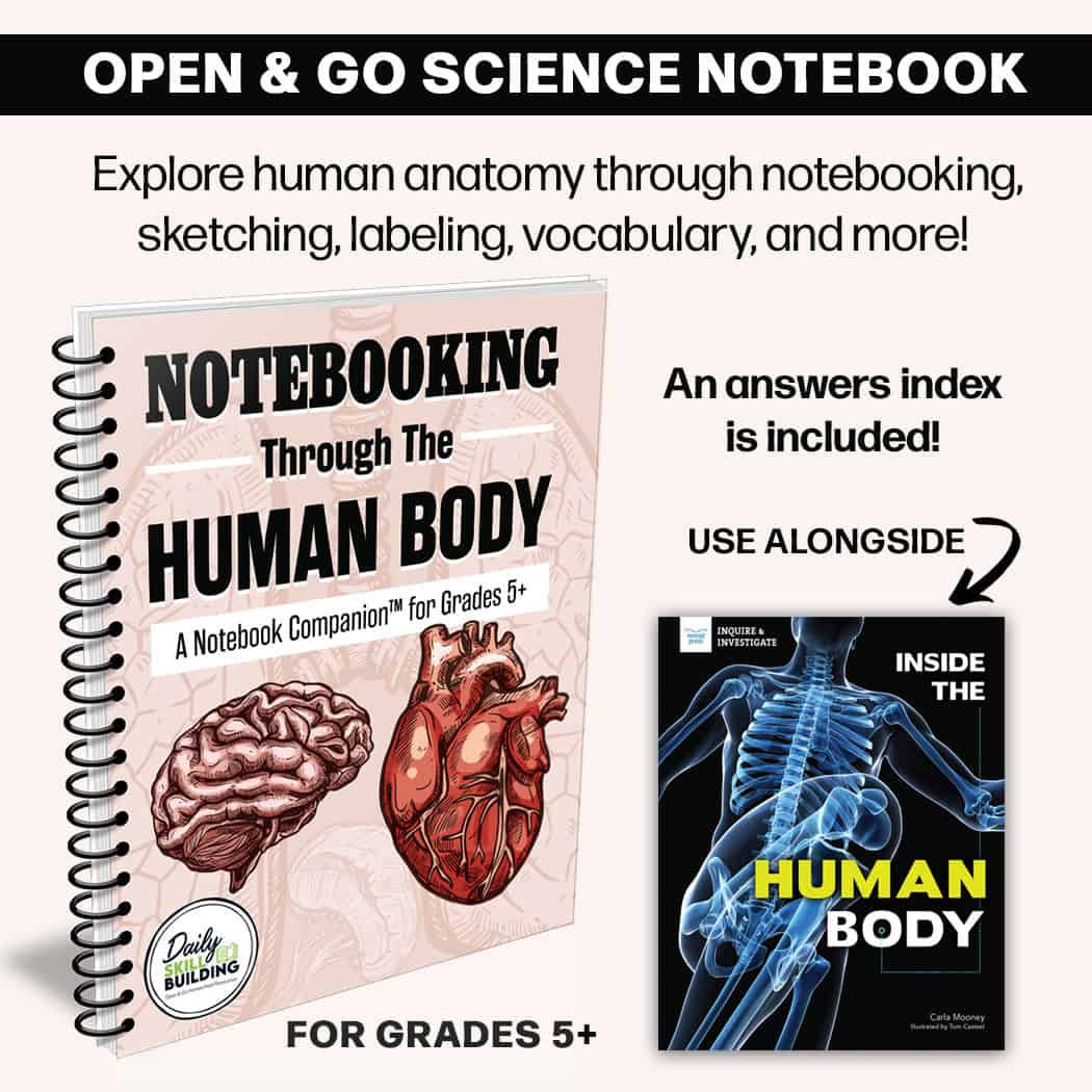 Human Anatomy Freebies & Instant Downloads