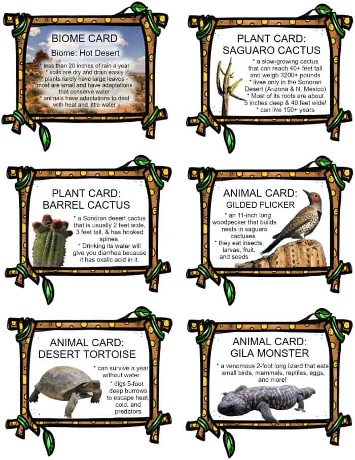 FREE Desert Biome Mystery Printables