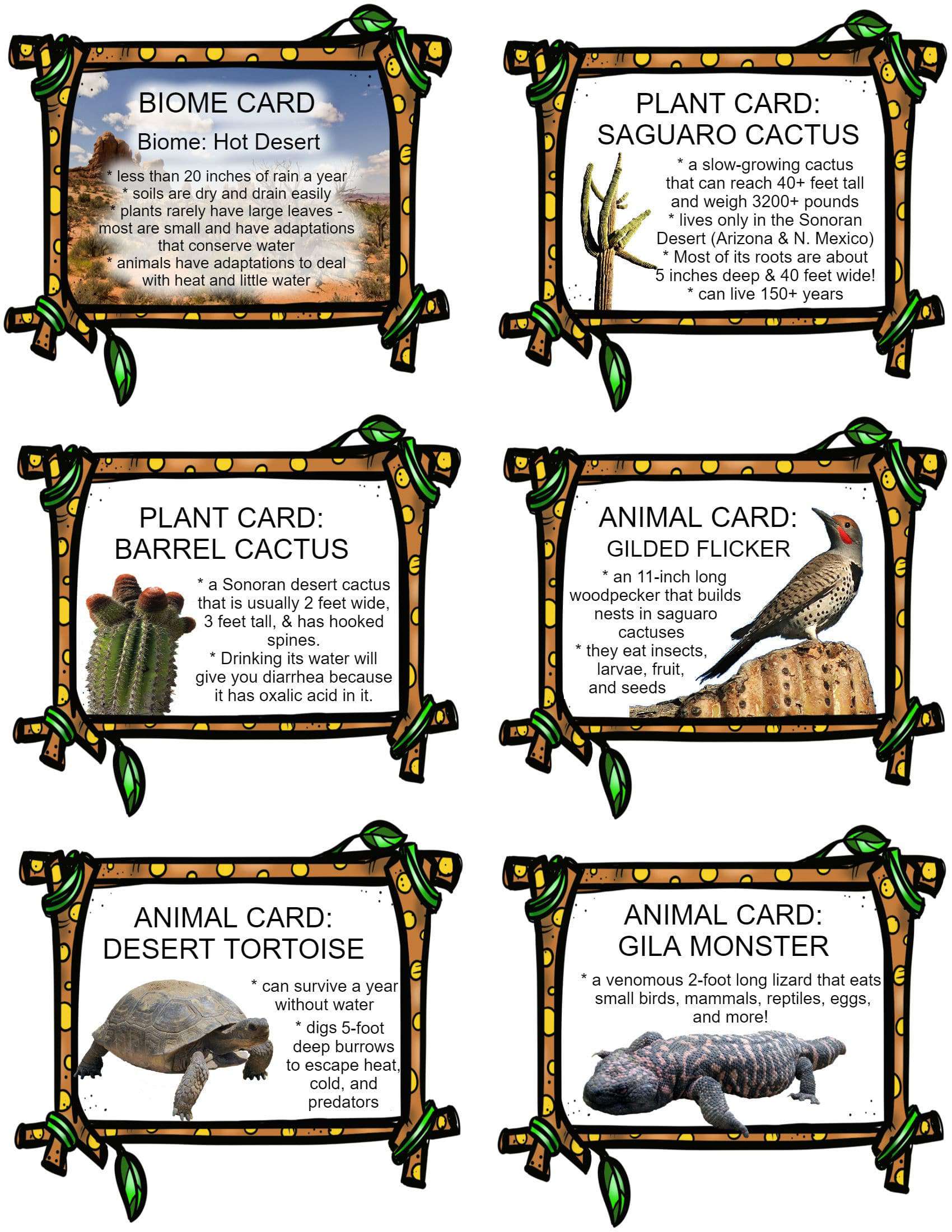 FREE Desert Biome Mystery Printables