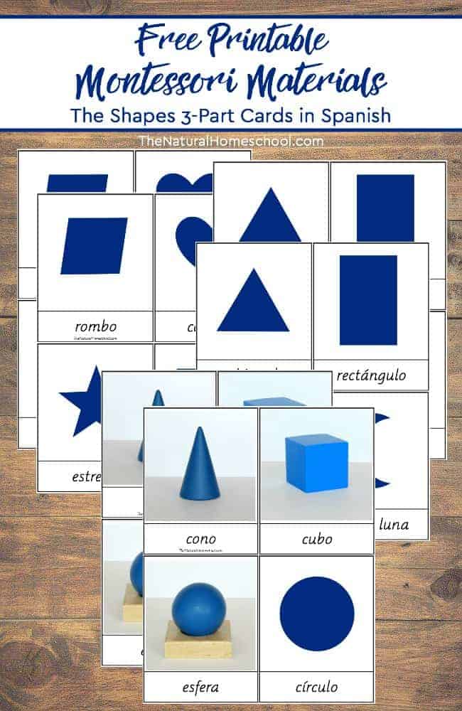Montessori Curriculum Free Sensorial Lesson ~ The Shapes 3-Part Cards ...