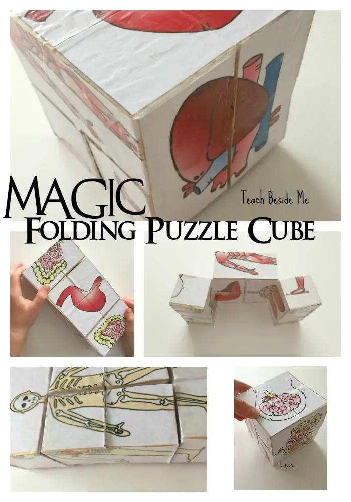 Folding Puzzle Cubes to Learn Just About Anything