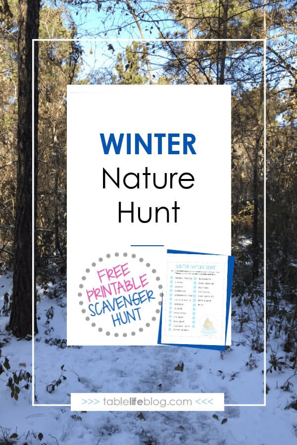 FREE Printable Winter Scavenger Hunt - Simple Ways to Explore Nature