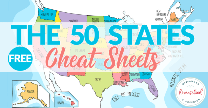 FREE State History Timeline Resource Plus Cheat Sheets