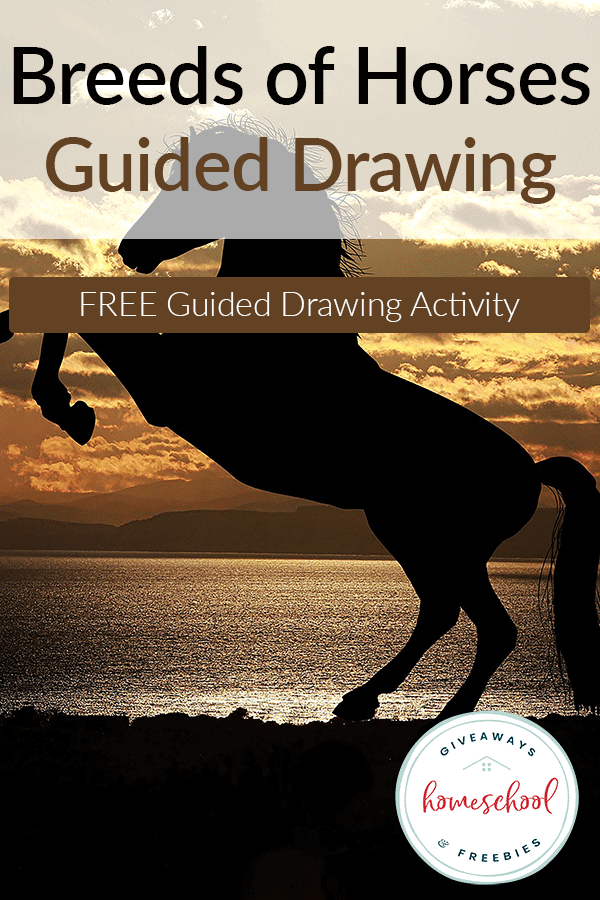 FREE Equine Science Unit Study Resources