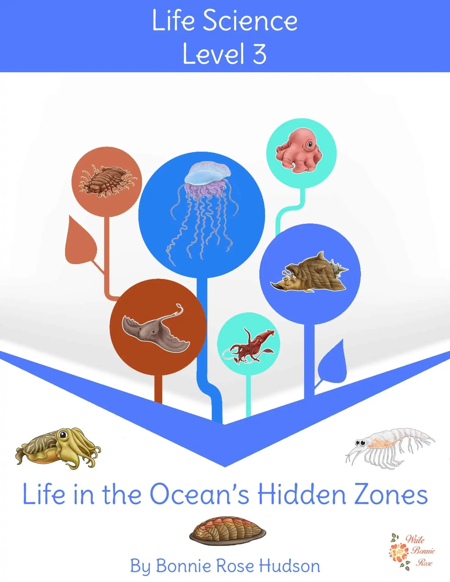 FREE Mammals Around the World Guided Drawing