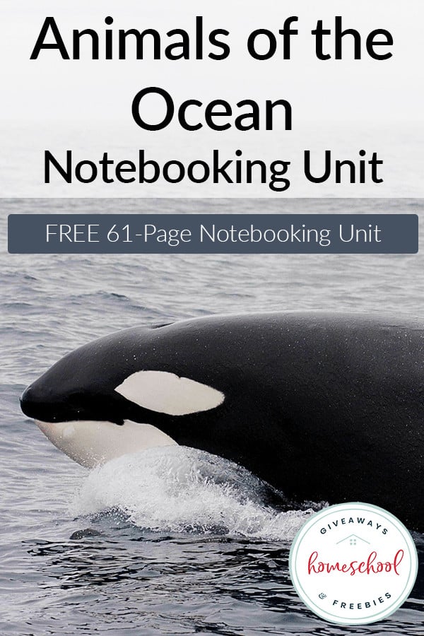 FREE Ocean Animals Notebooking Research Journal
