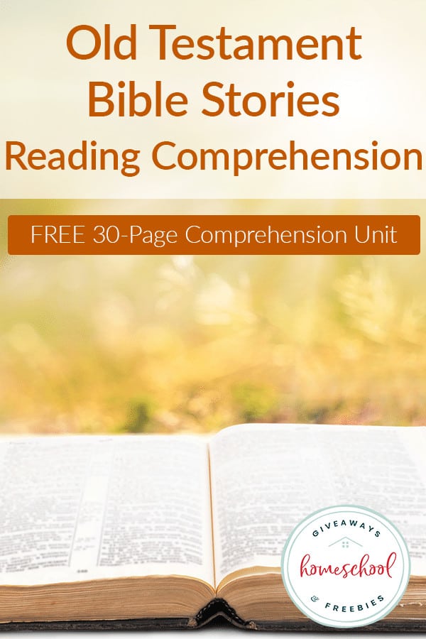 FREE Old Testament Bible Stories Reading Comprehension Unit