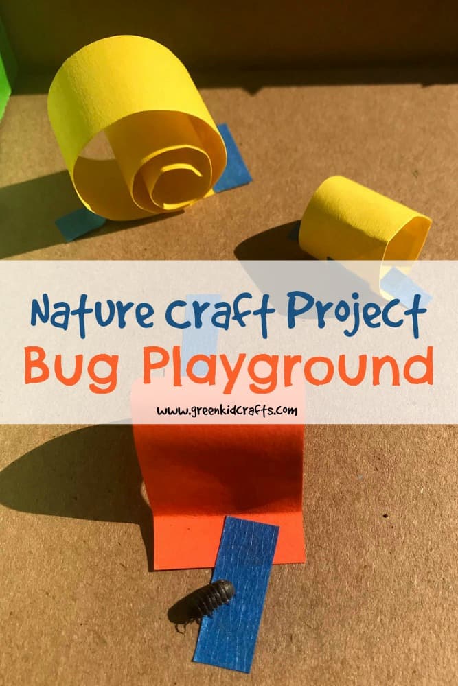 Building a Playground from a Box for Bugs