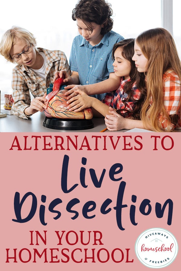Alternatives to Live Dissection in Your Homeschool