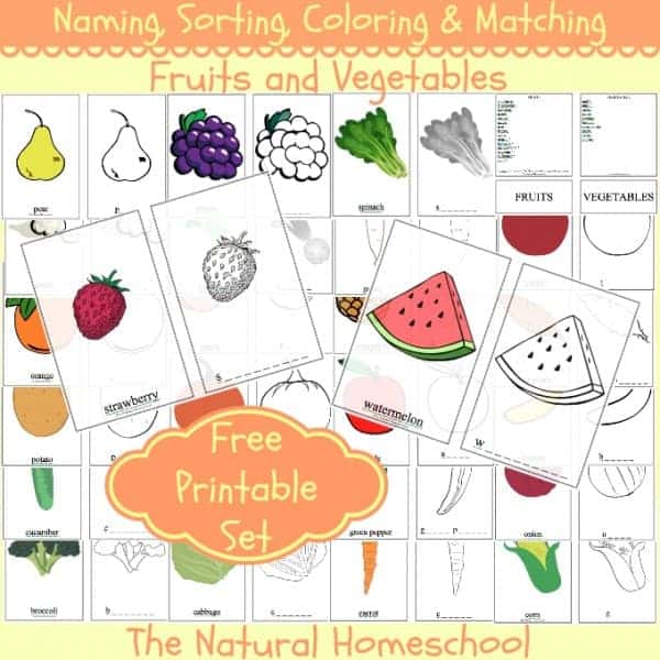 FREE Naming, Sorting, Coloring & Matching Fruits & Vegetables Printables