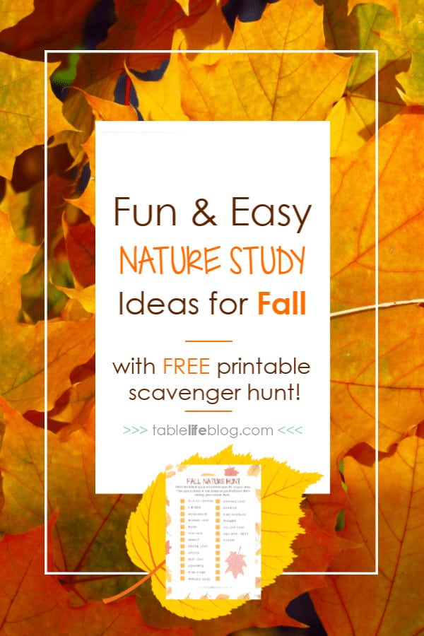 Easy and Fun Fall Nature Study Ideas