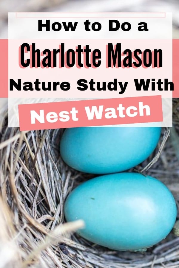 Using NestWatch for a Charlotte Mason Nature Study