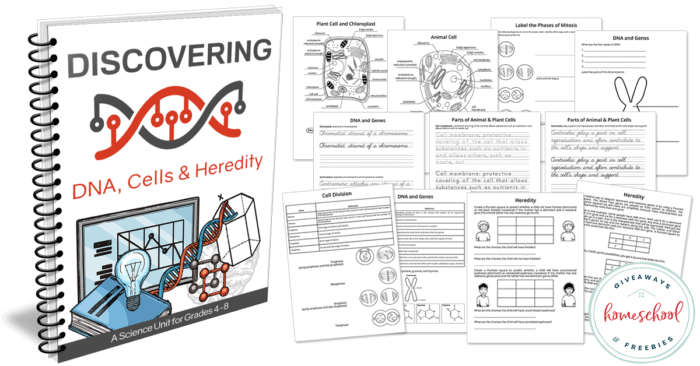FREE Discovering DNA, Cells and Heredity Unit for Grades 4-8