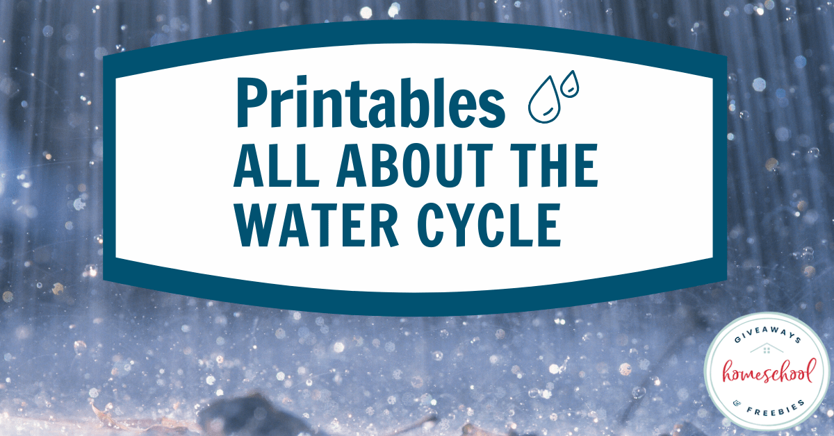 Printables All About the Water Cycle