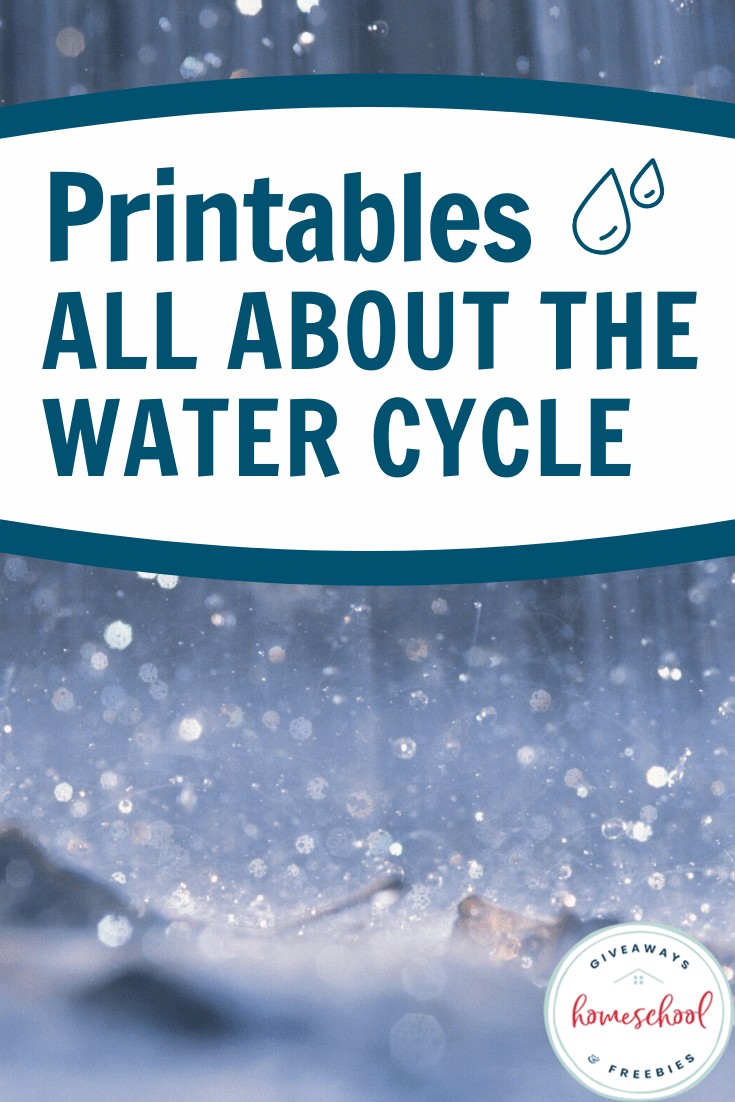 Water Cycle Worksheet Middle School