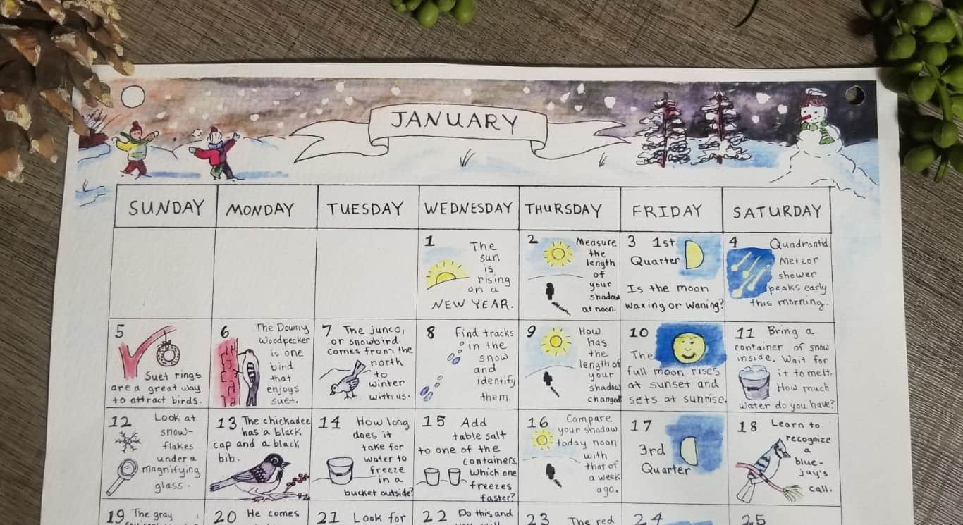 FREE January Nature Calendar- Exploring Nature Day by Day