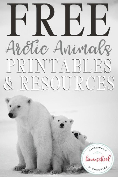 Arctic Animals for Kids - Printables and Worksheets