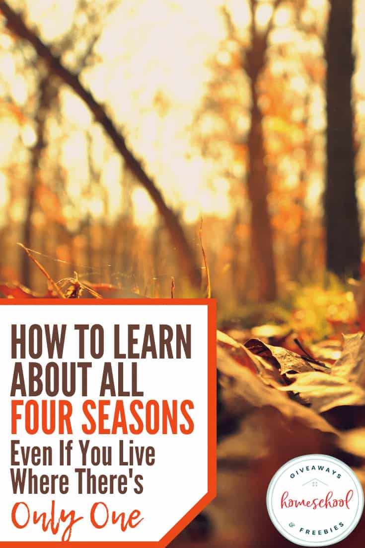 Free Resources About Seasons