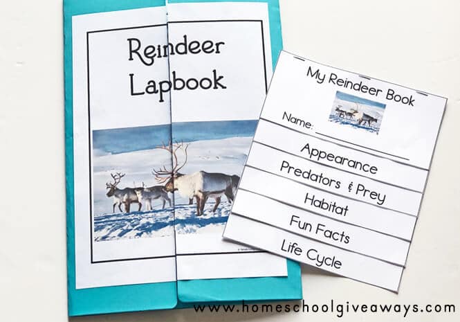 Reindeer Printables and Activities {Limited Time Freebies}