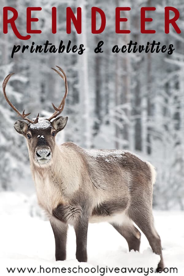 Reindeer Printables and Activities {Limited Time Freebies}