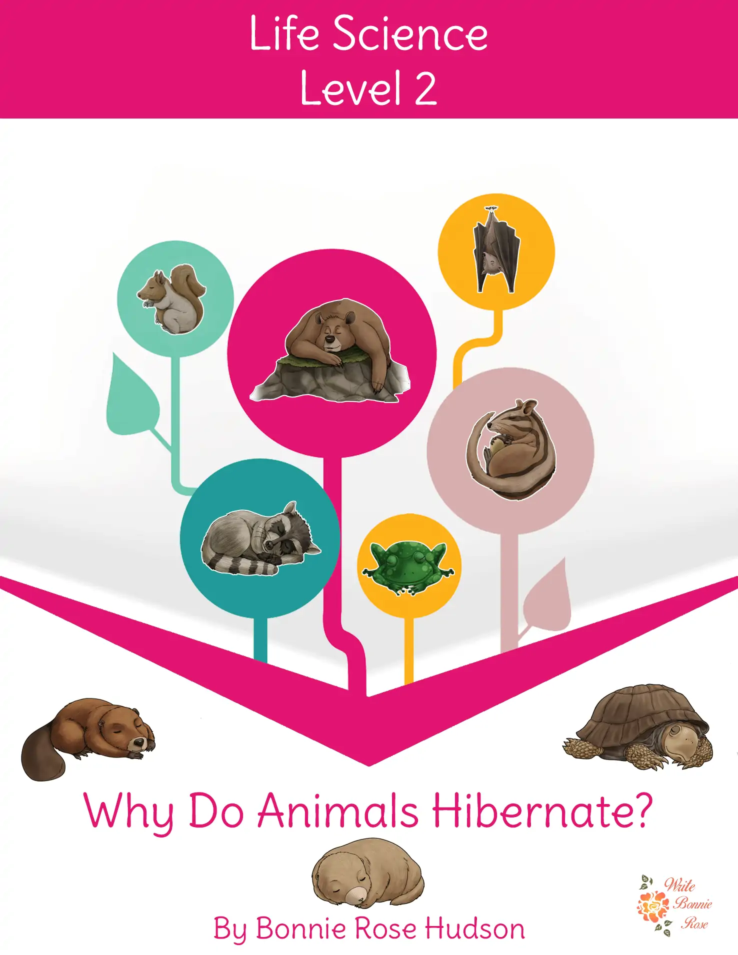 FREE Mammals Around the World Guided Drawing