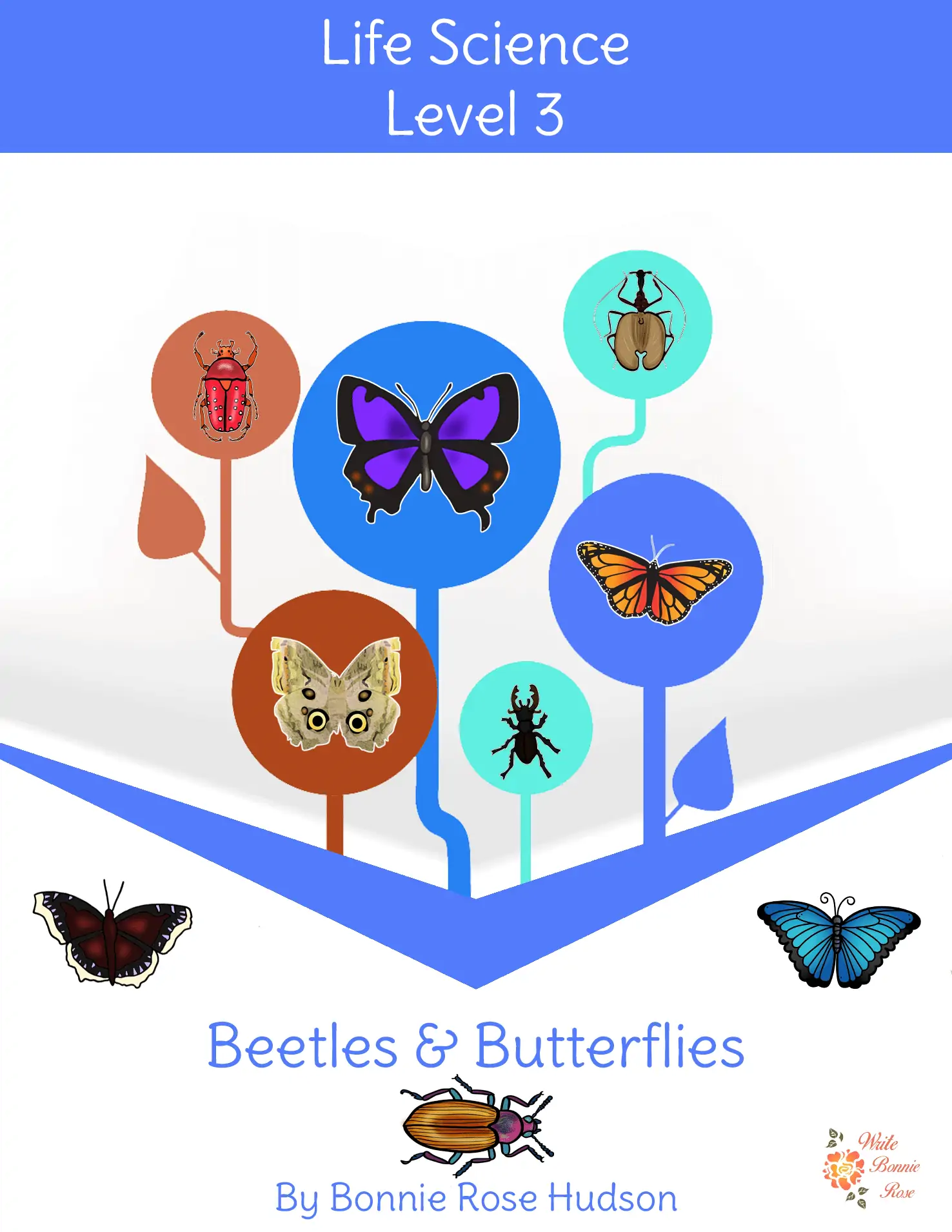 FREE Mammals Around the World Guided Drawing