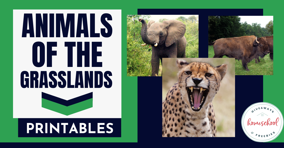 Grassland Animals Printables and Learning Resources