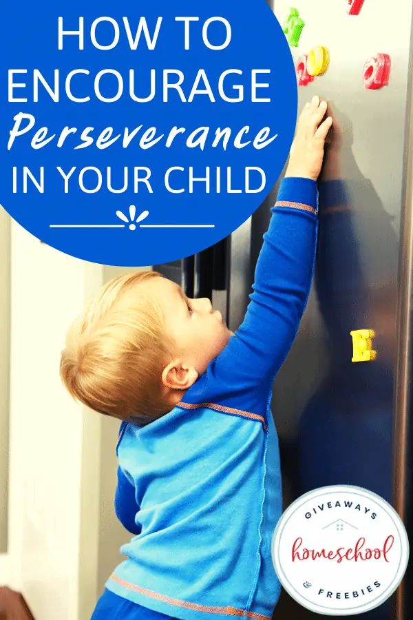 How to Encourage Perseverance in Your Child
