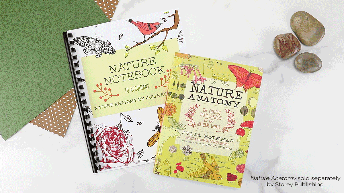 Notebooking Ideas for Nature Study