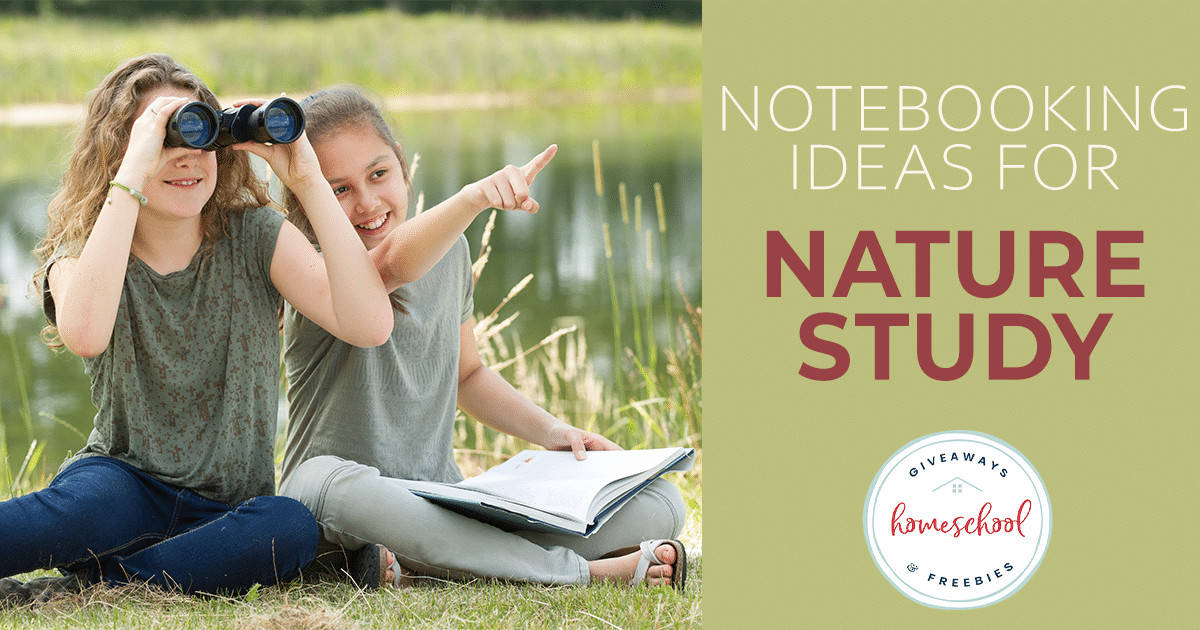Notebooking Ideas for Nature Study