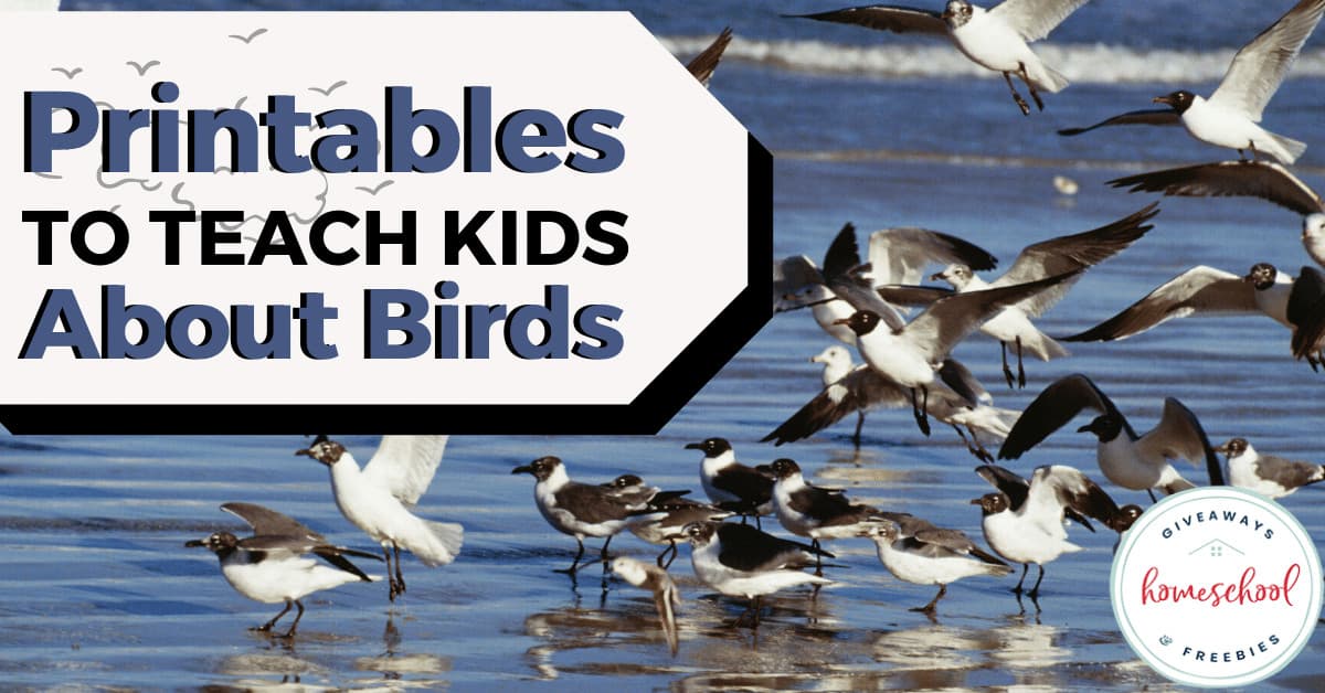 Resources to Help Your Kids Learn About Birds