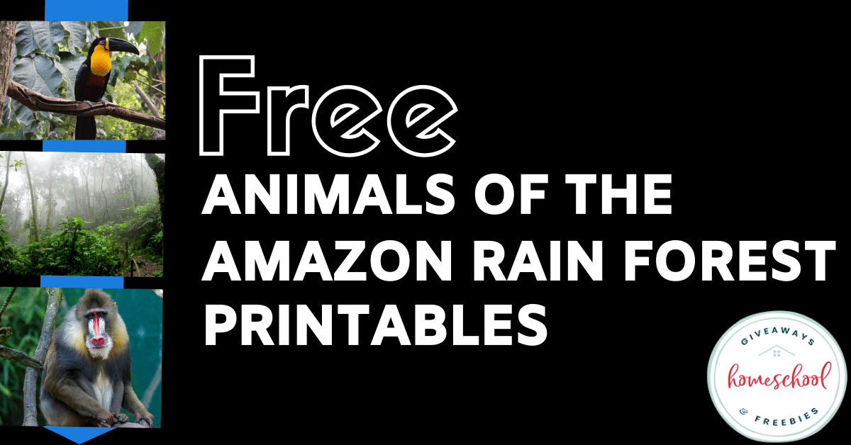 FREE Animals of the Amazon Rain Forest Printables