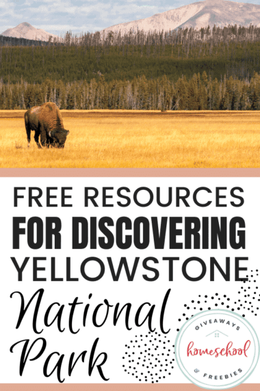 Yellowstone National Park Fun Facts for Kids & Educational Resources